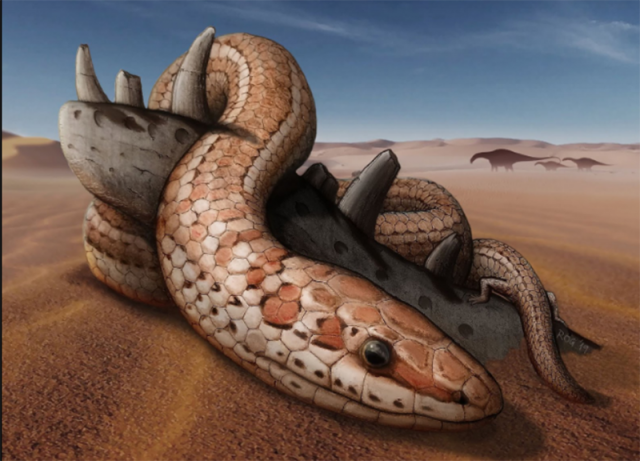 Fosil Ular Berkaki Mengungkap Rahasia Evolusinya - ikons.id