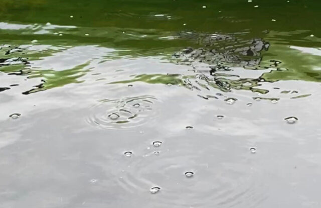 Kemunculan Gelembung Metana di Danau Alaska yang Mengkhawatirkan - ikons.id