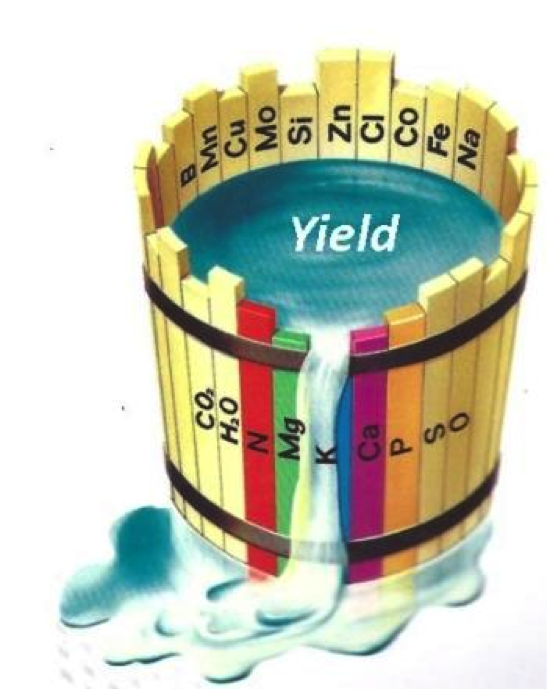 Hukum Minimum dan Toleransi dalam Ekologi - ikons.id